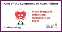 Raise the Flag on Heart Failure - Global Heart Hub