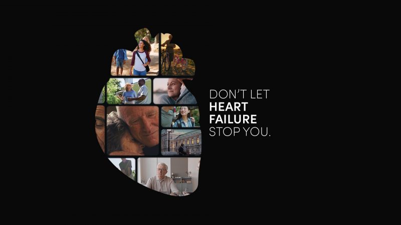 Public Campaigns - Global Heart Hub